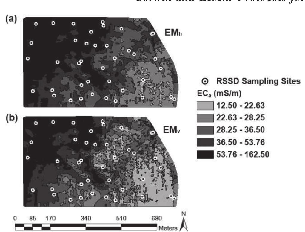 Interpolated map of the 2009 electromagnetic induction (emi)