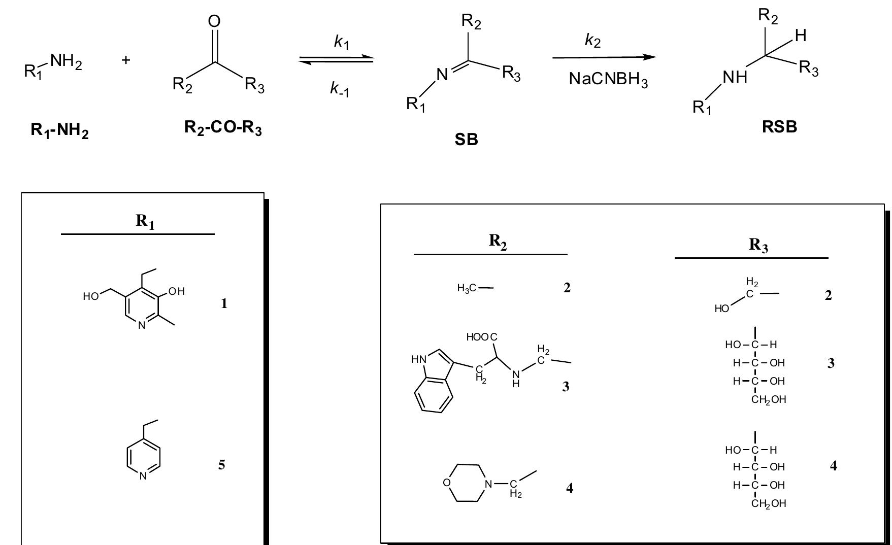 Schematic representation of schiff bases formation and