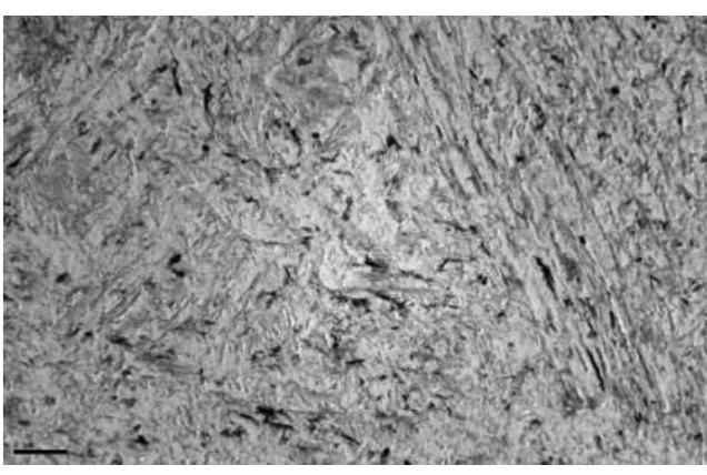 B: replica of the microstructure of aisi 15b41 steel