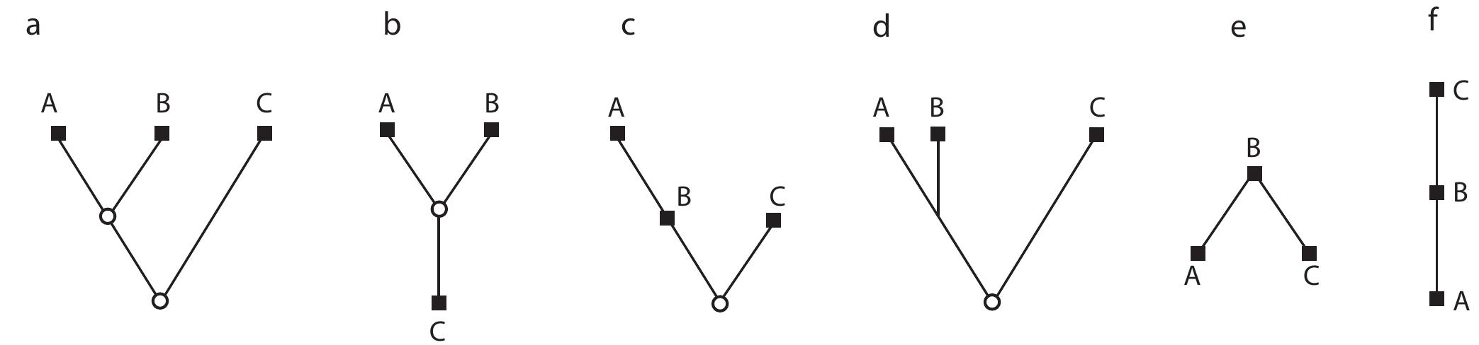 Cladogram (a) and different types of evolutionary trees