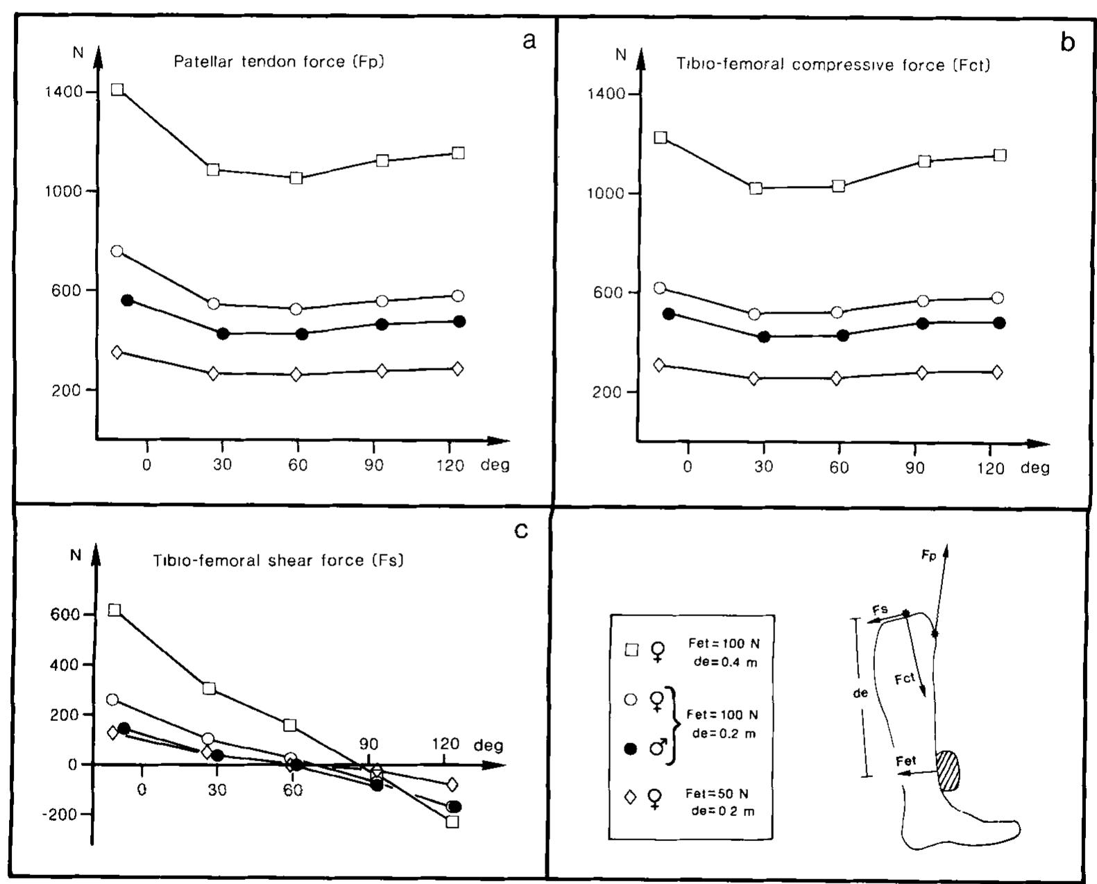 A) patellar tendon force (fp), b) tibio-femoral compressive