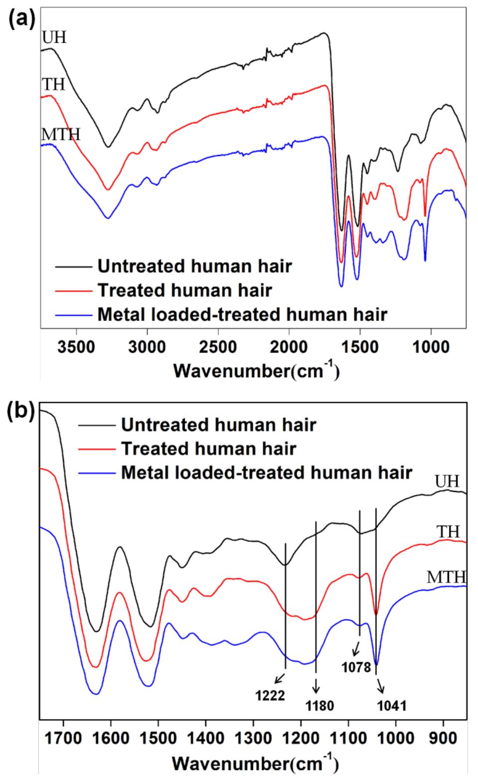 Ft-ir spectra of human hair. uh: untreated human hair, th: