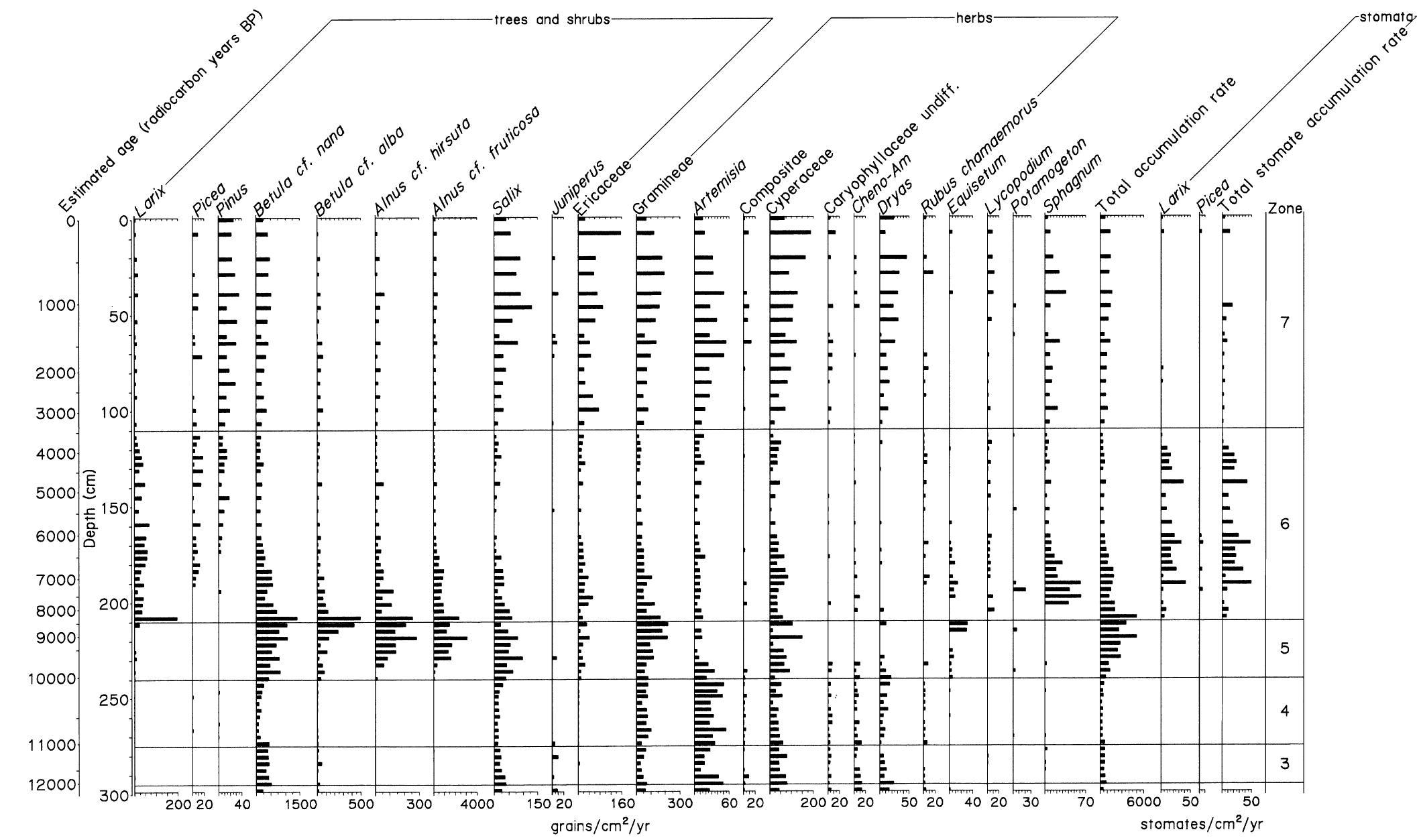 Pollen and stomate accumulation rate diagram for the dolgoe