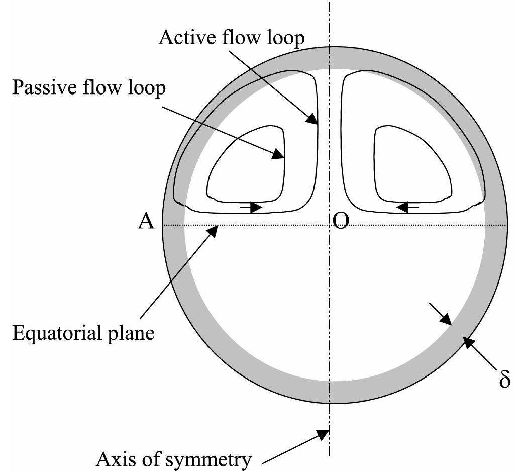 schematics of active and passive flow loops inside the