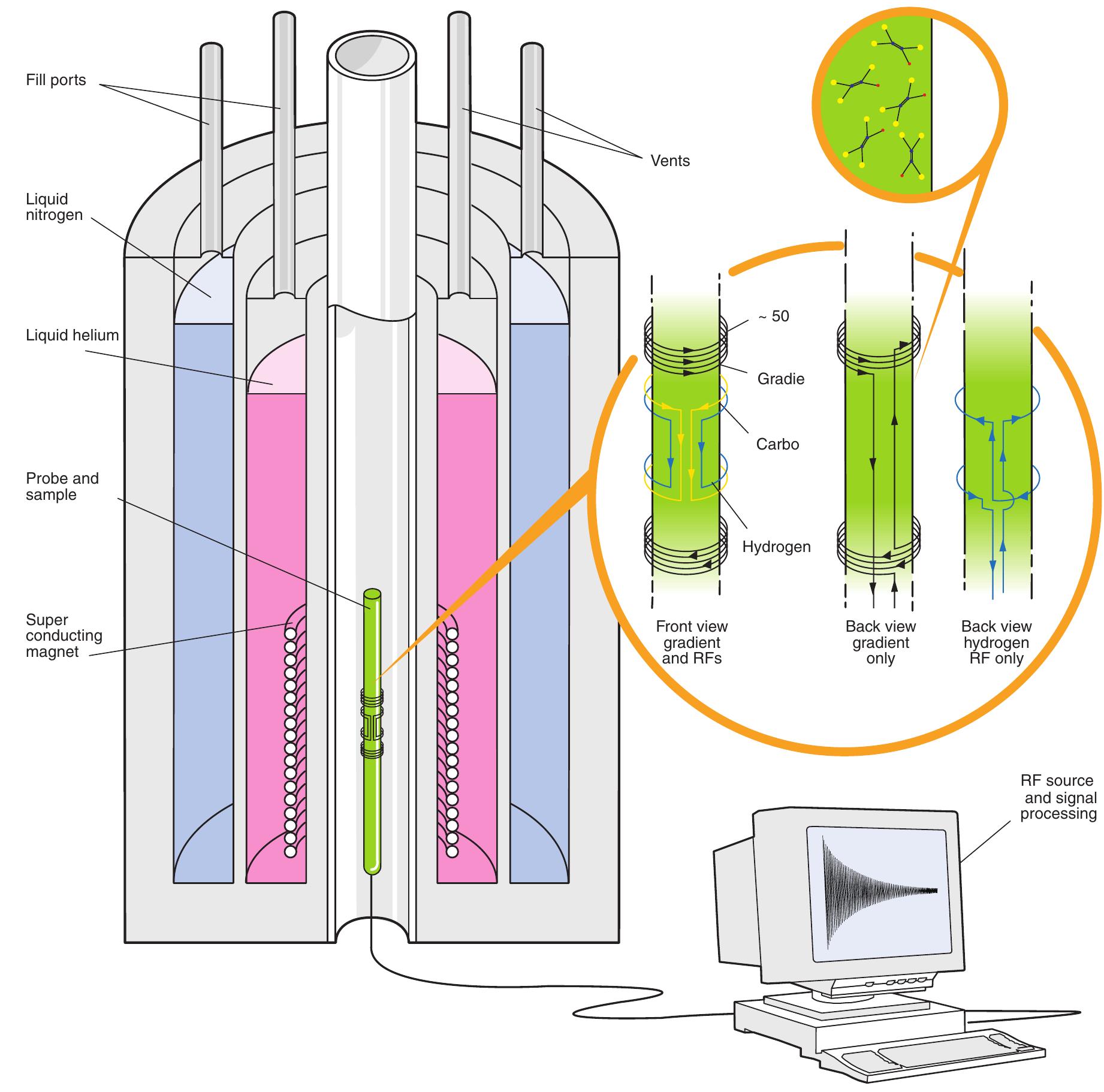Schematic of a typical nmr spectrometer (not to scale). the