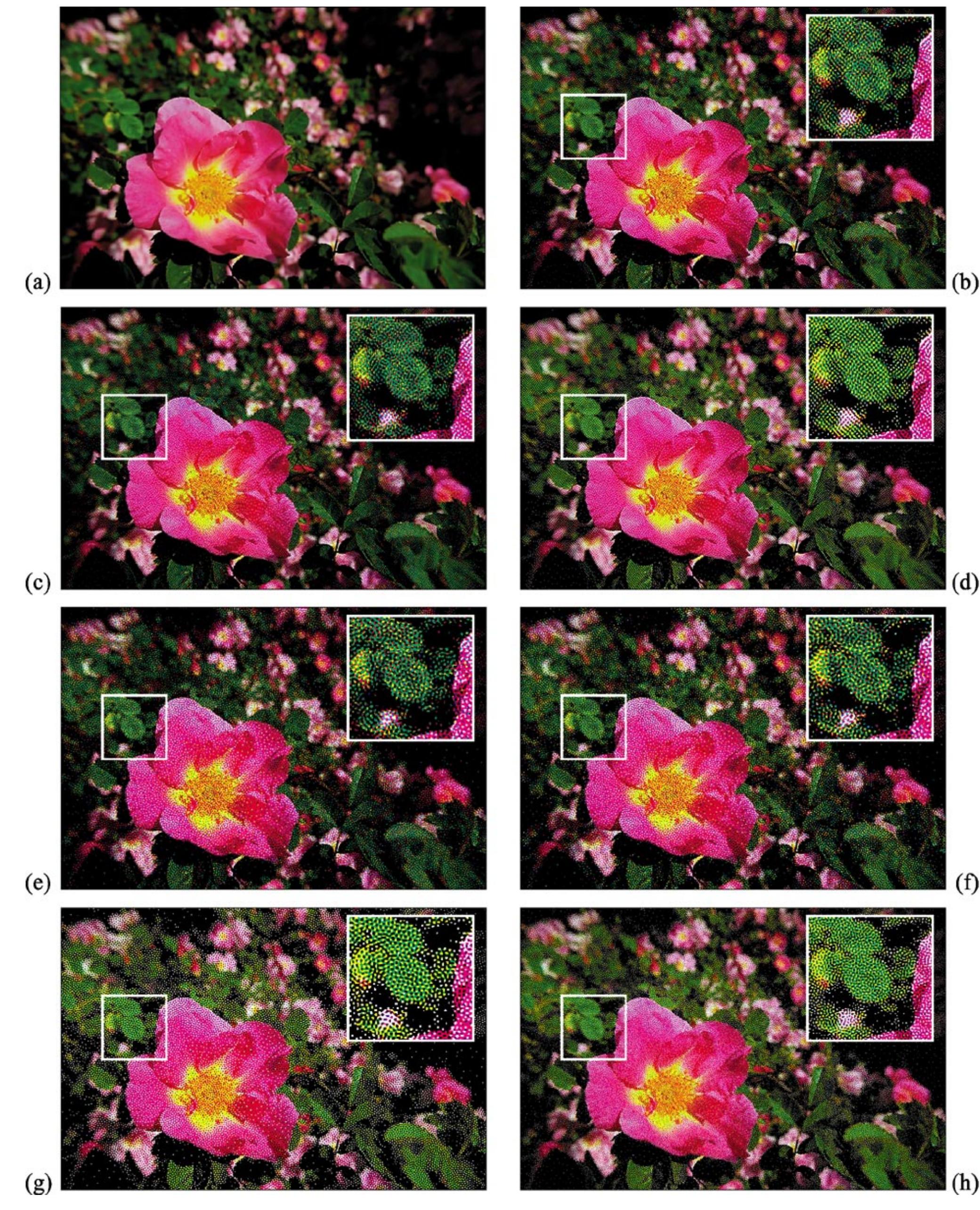 Color plate 3. cmyk halftoned images of the: (a) original