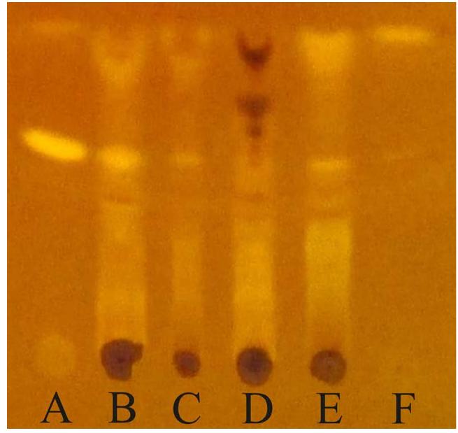 From left to right: (a) emodin standard; (b) sickle- pod