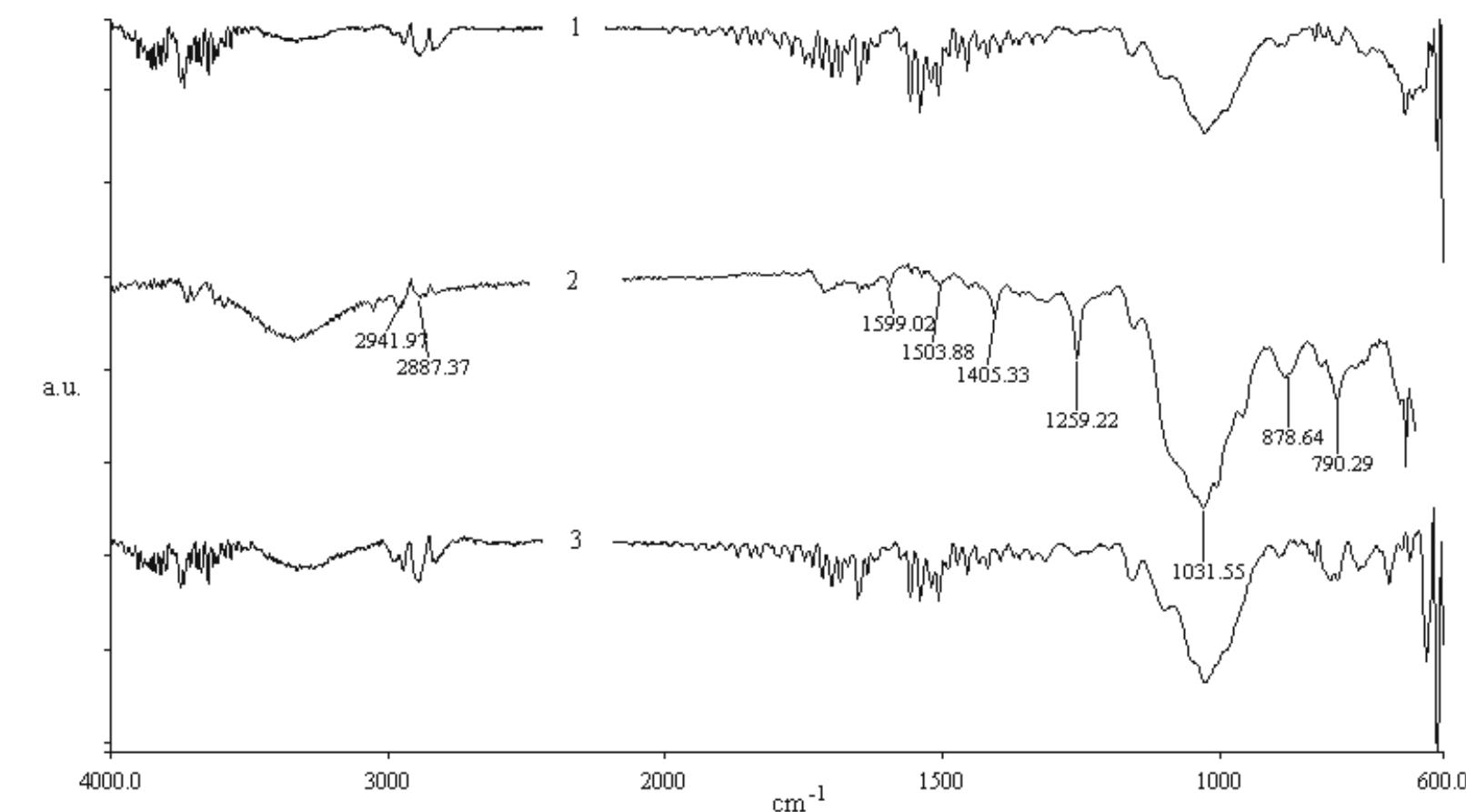 Ft-ir spectra of sugarcane bagasse fibers: 1. alkalinized