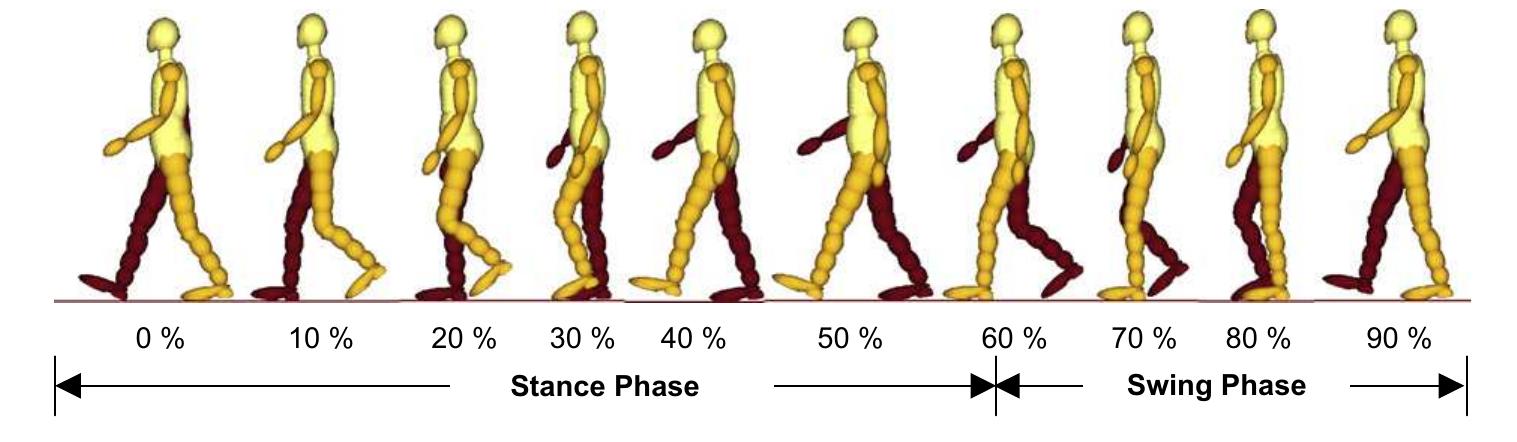 Pedestrian stances for different gait parameters (%) of the