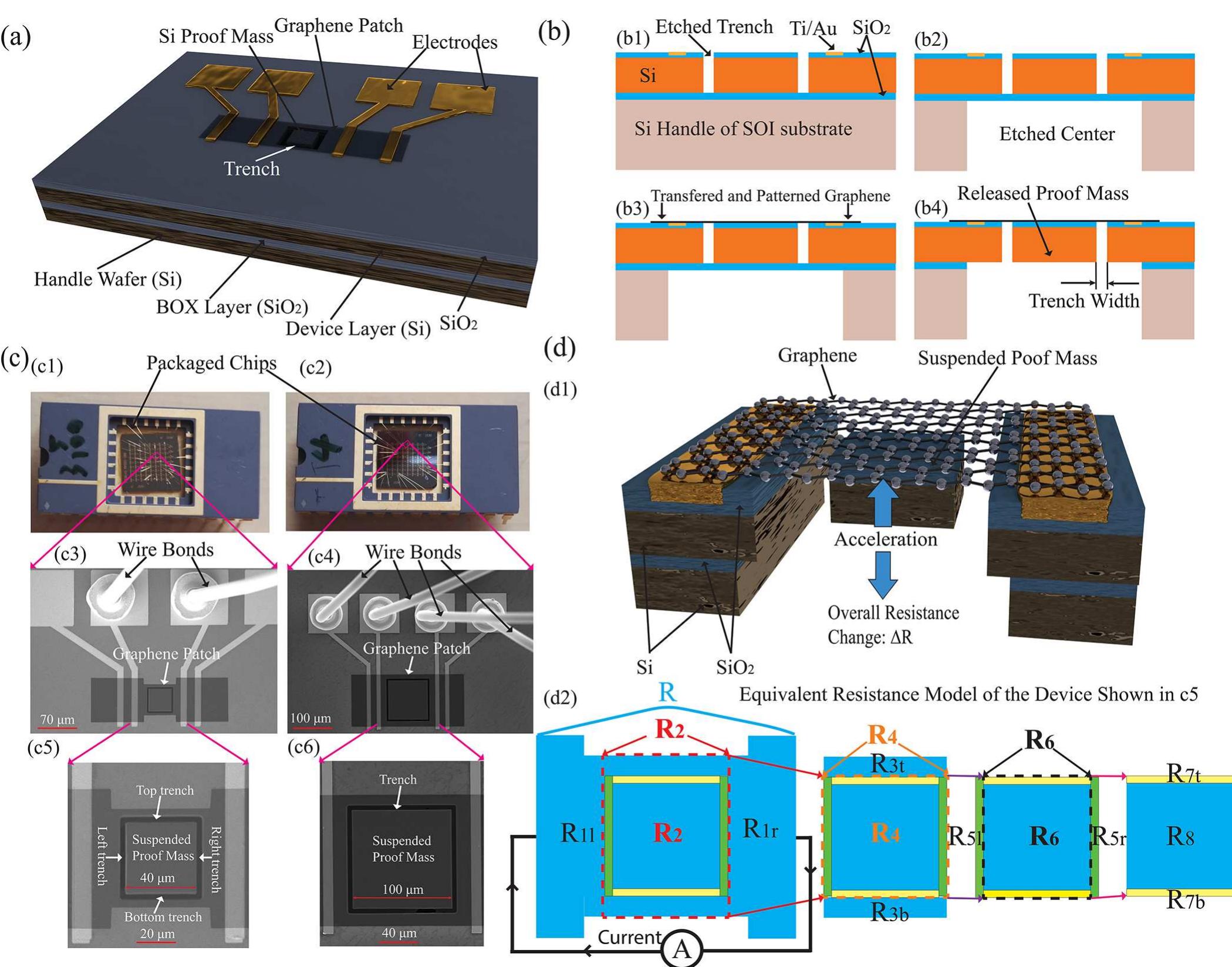 Suspended graphene membrane with attached silicon proof mass