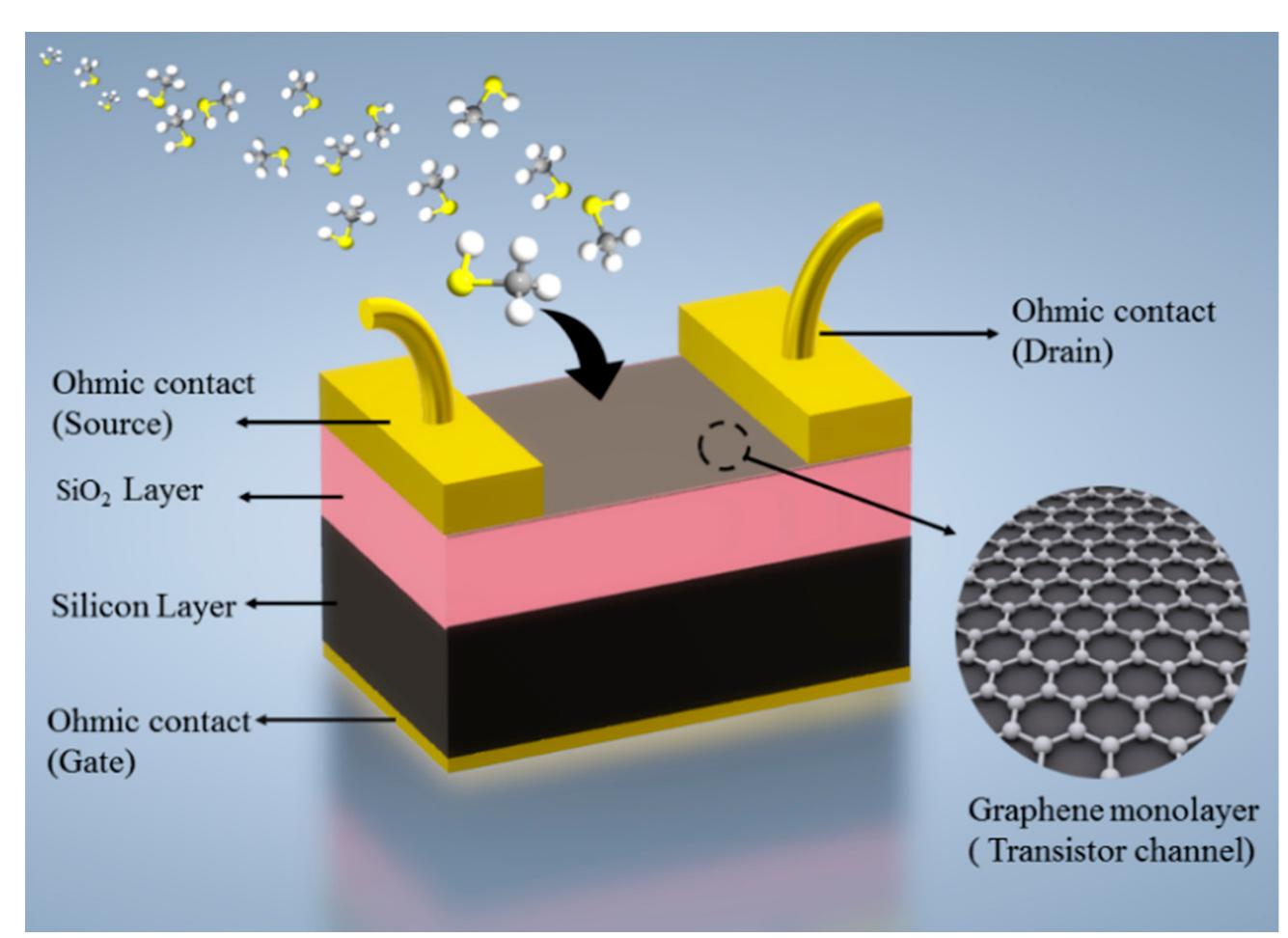 The proposed graphene field effect transistor (gfet) model.