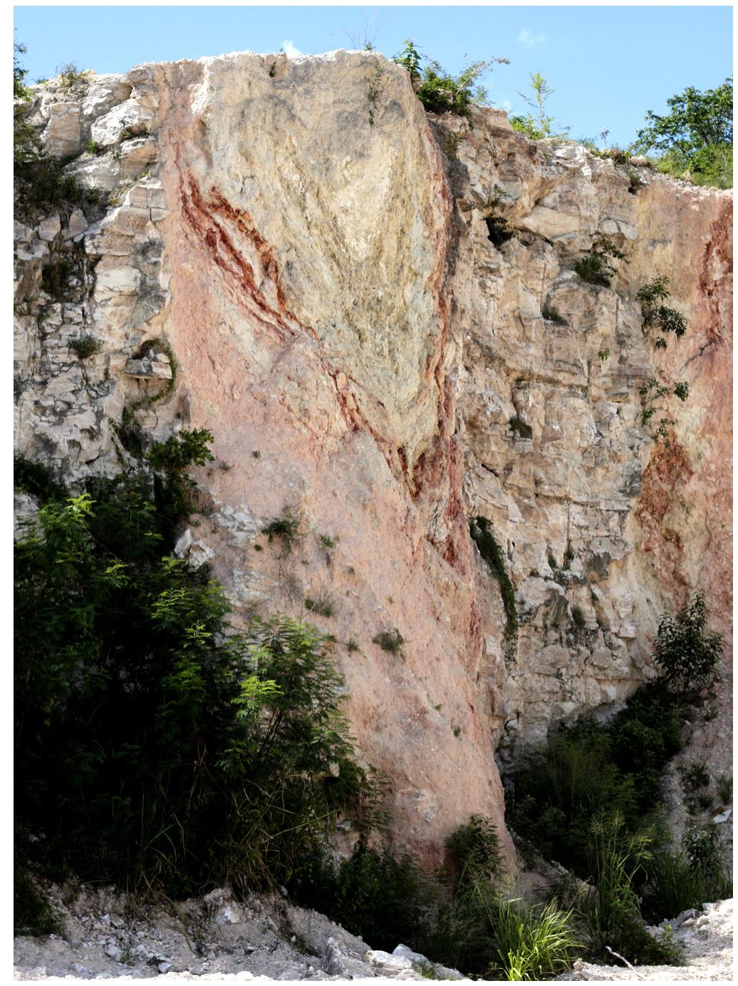 A slump structure in the same quarry as shown in figure 5.