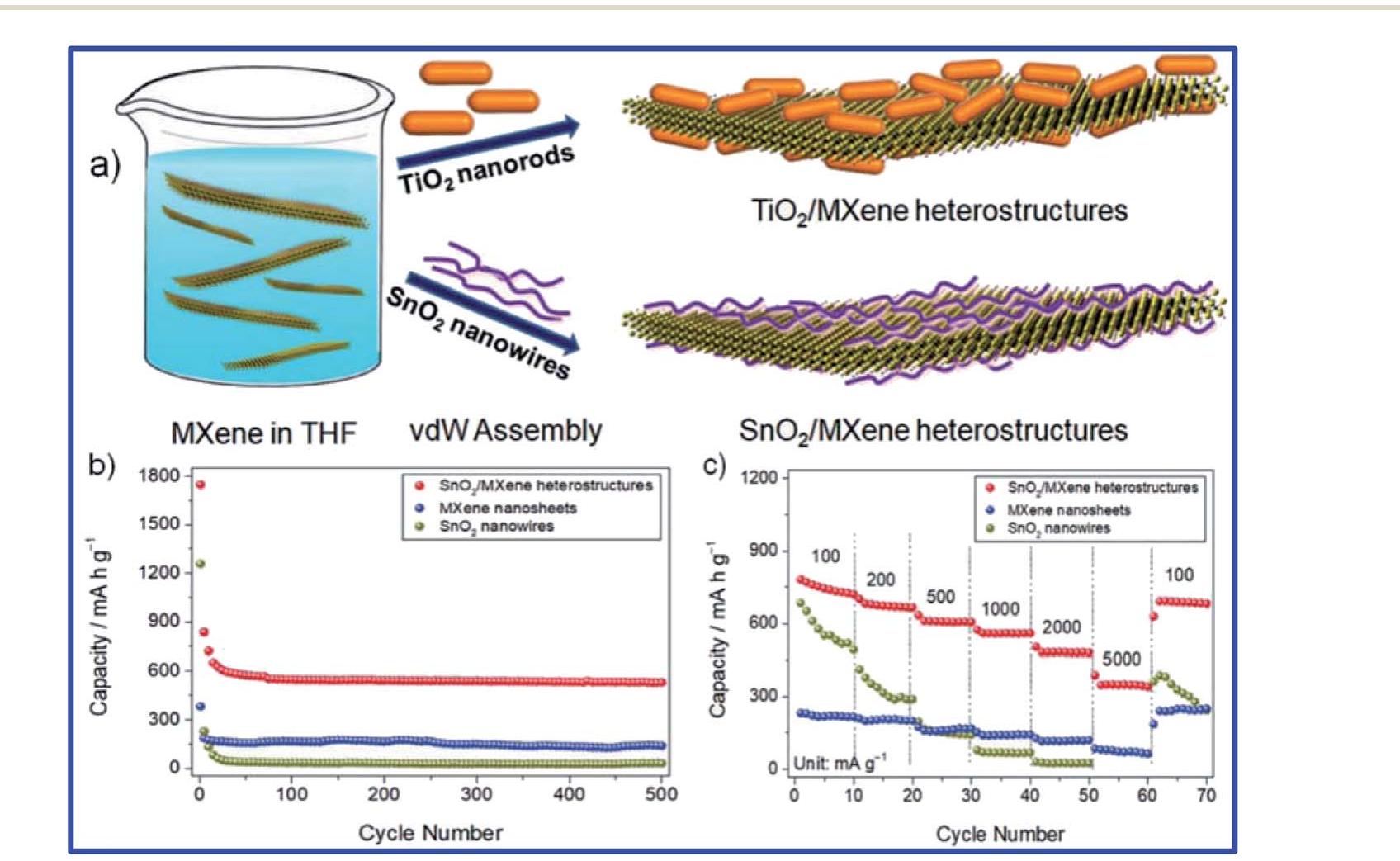 (a) scheme showing the self-assembly on mxene nanosheets,