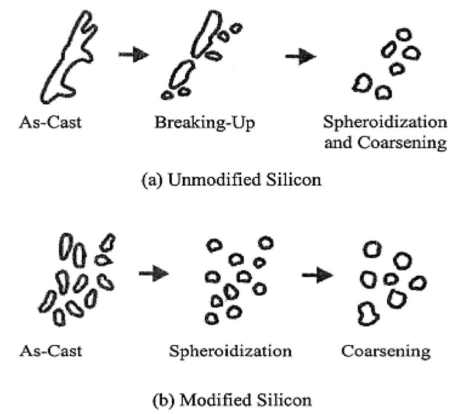 Schematic characterization of the three stages of