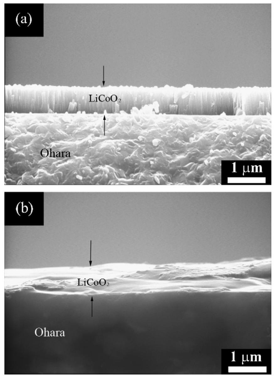 Cross-sectional sem images of the licoo2 thin films on