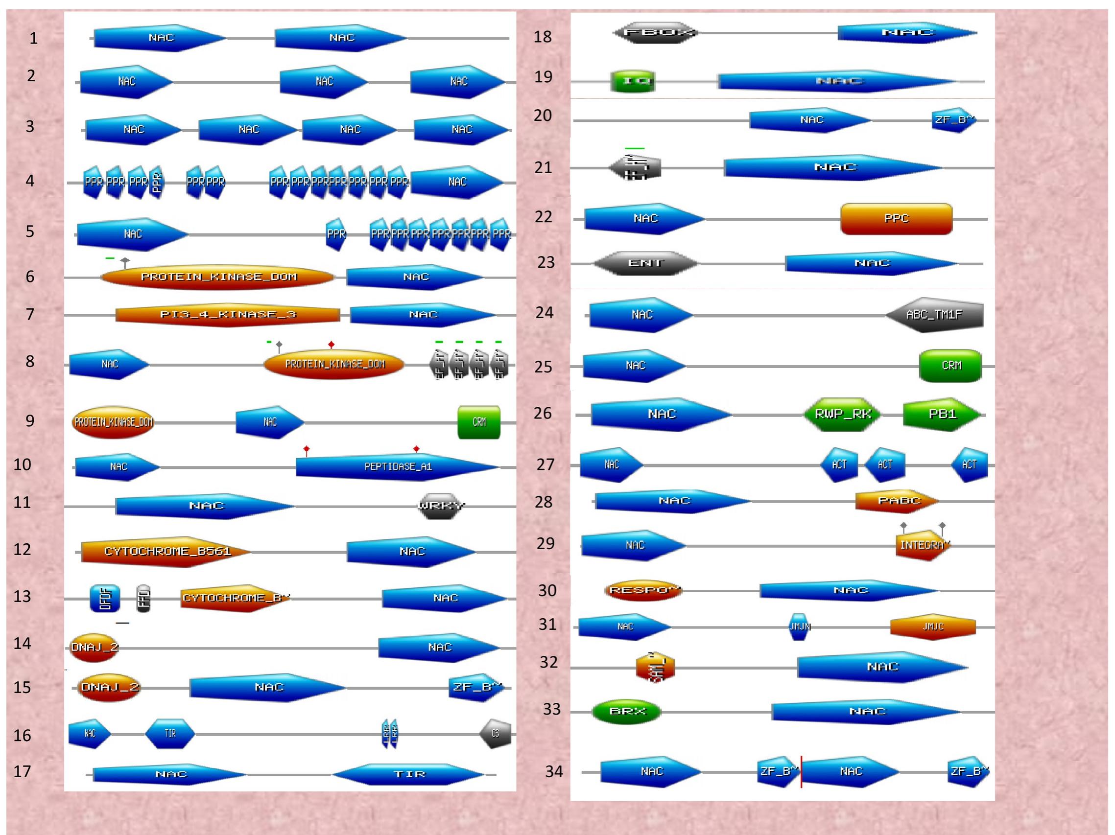 Figure 4 - from Genomics, molecular and evolutionary