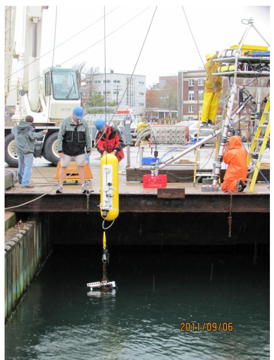Photo showing the anchor, sbe37-im (mounted on the anchor