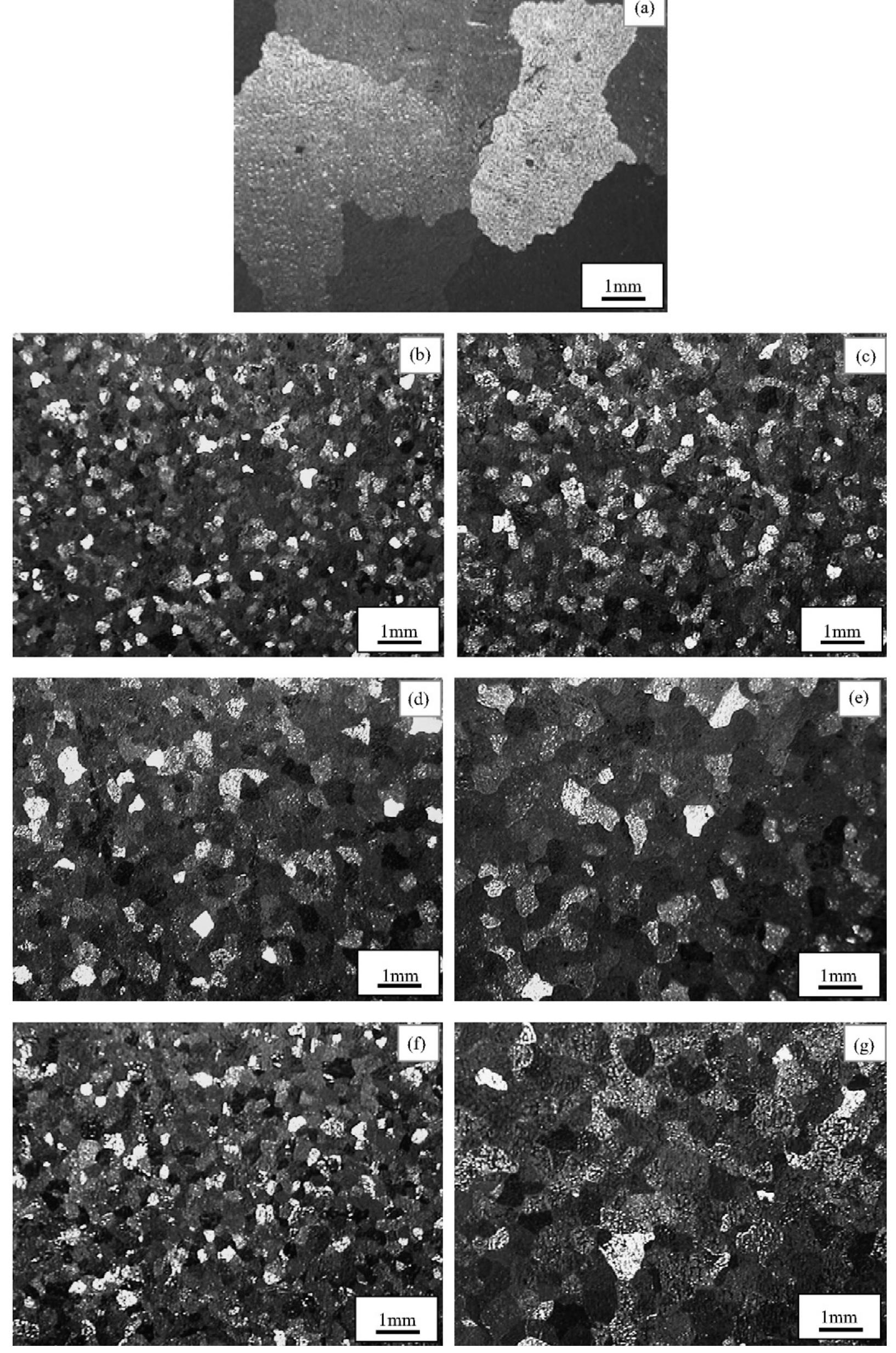 Grain macrostructures of a-al refined with different master