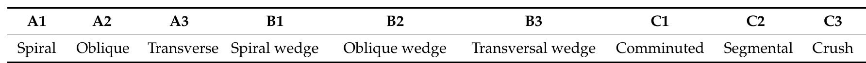 Ao classification of tibial shaft fractures. open fractures