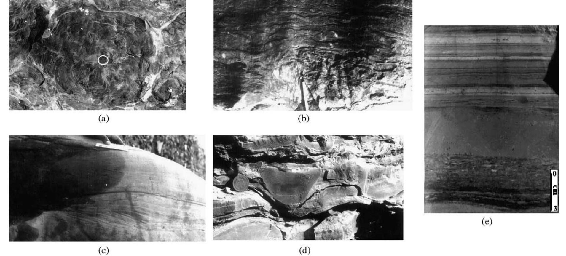 Photographs of lithofacies a—d. (a) composite stromatolite