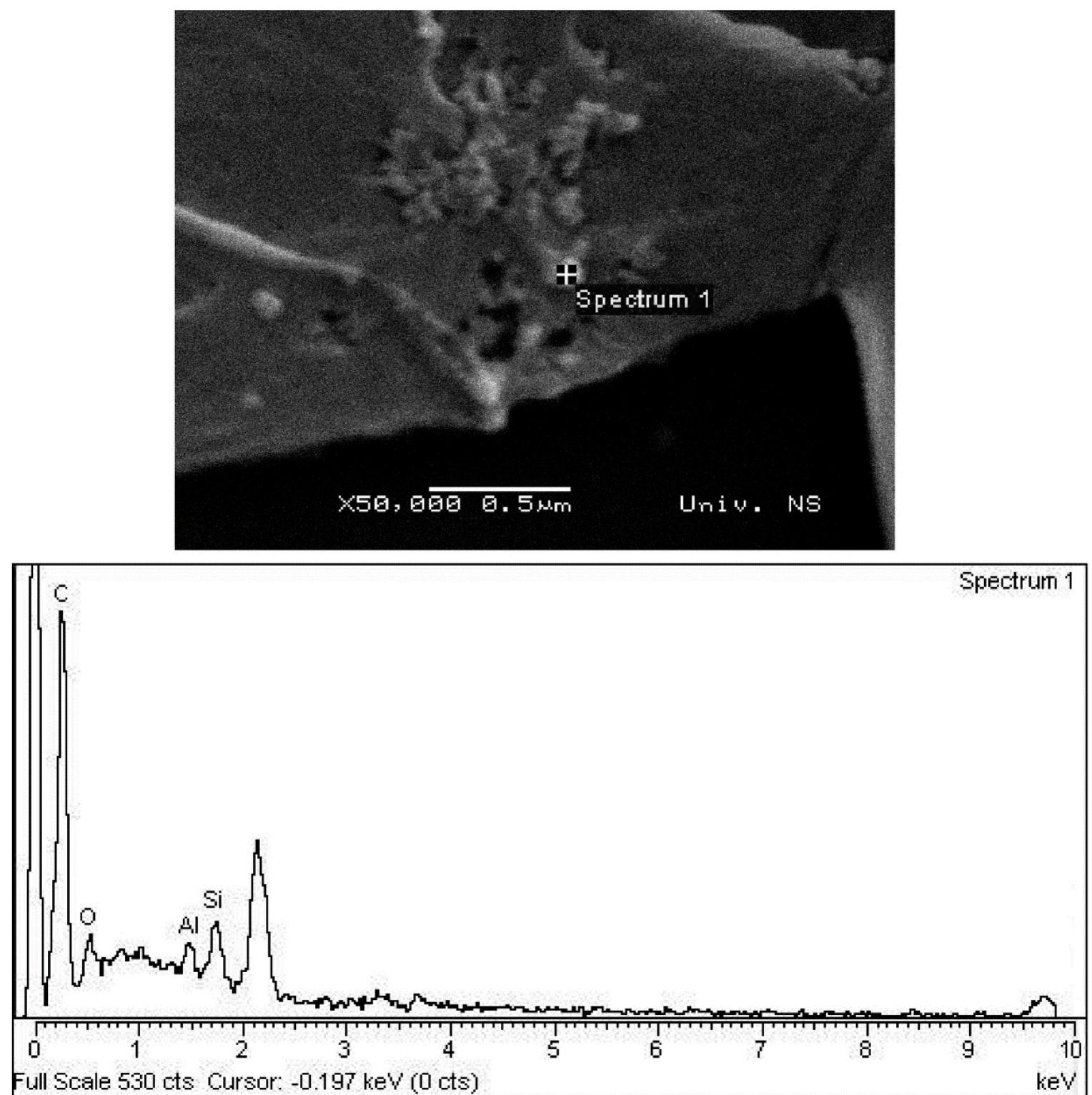 Sem images of fracture surface with a cluster of