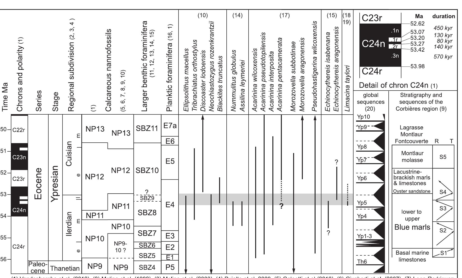 Stratigraphic chart and biozonation of the early eocene,