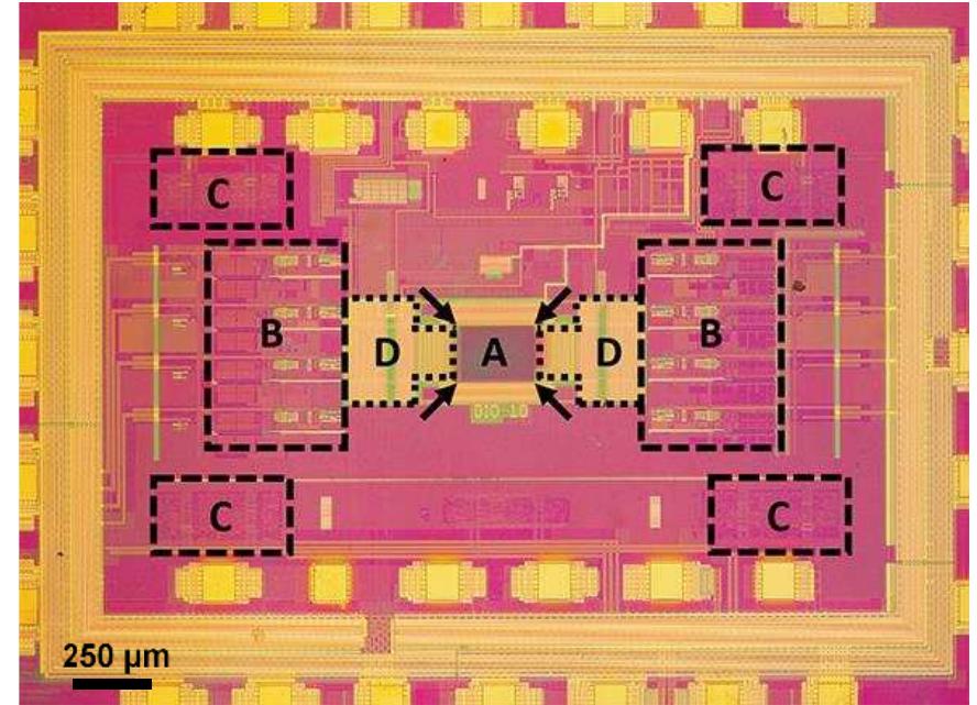 Chip photo, showing the matrix of 256x256 nanoelectrodes