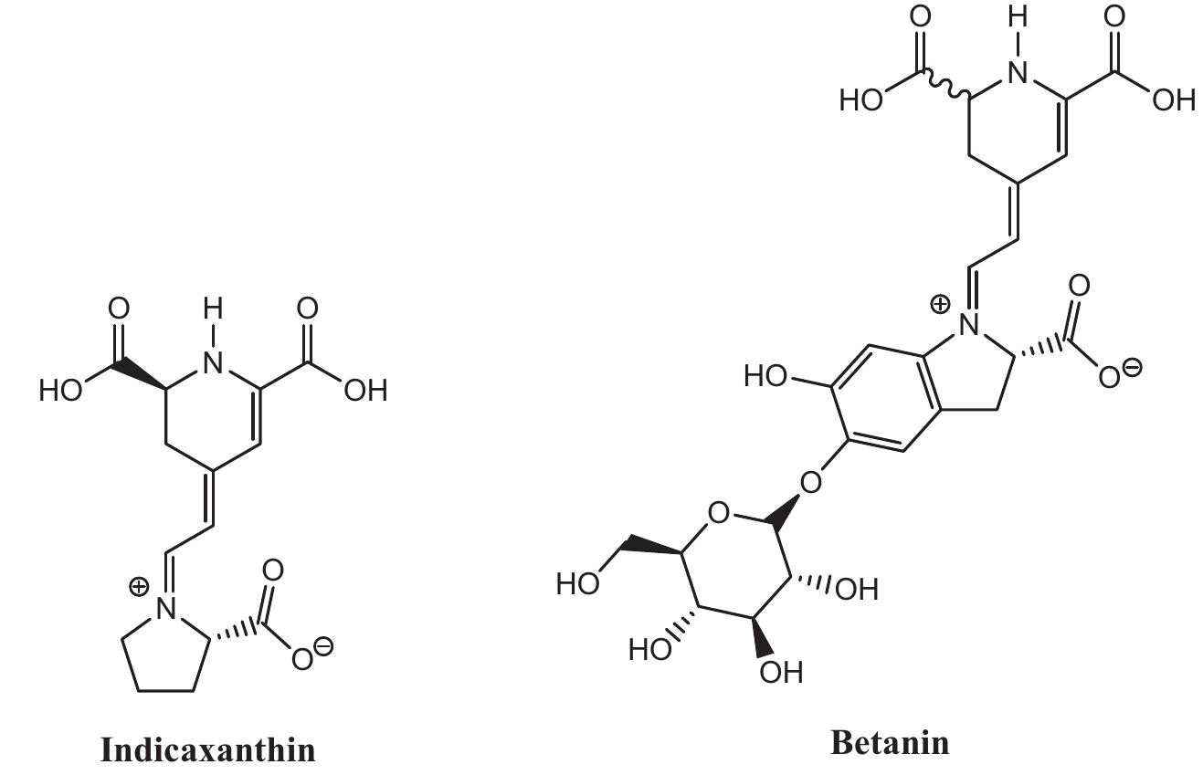Chemical structures of indicaxanthin and betanin.