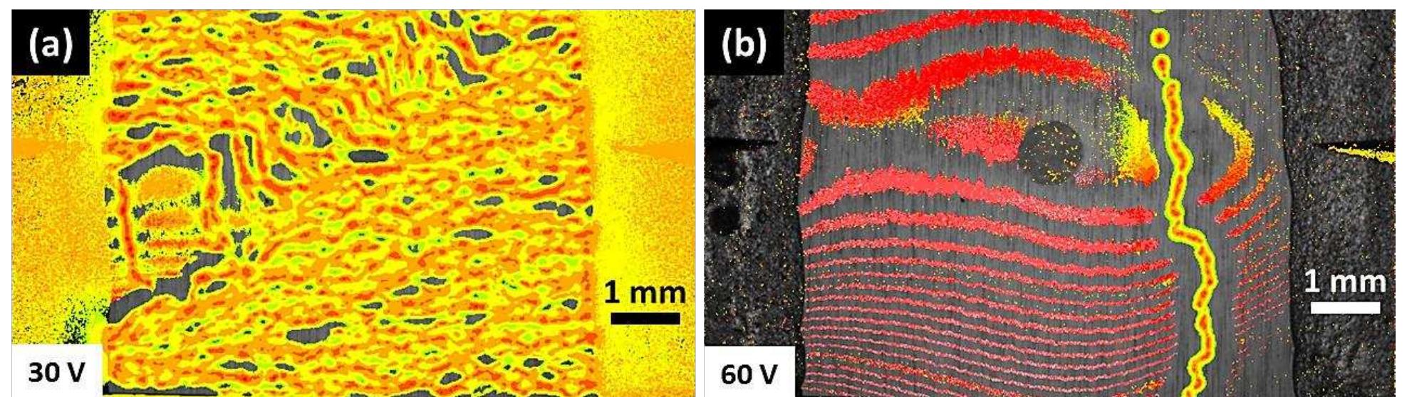 S4. thermal lock-in phase images of an agnw network close to