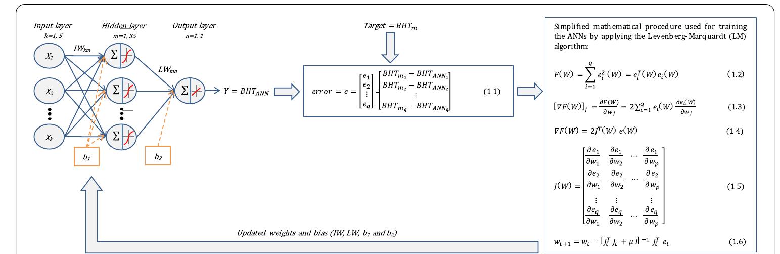 Schematic diagram showing the conceptual model of a