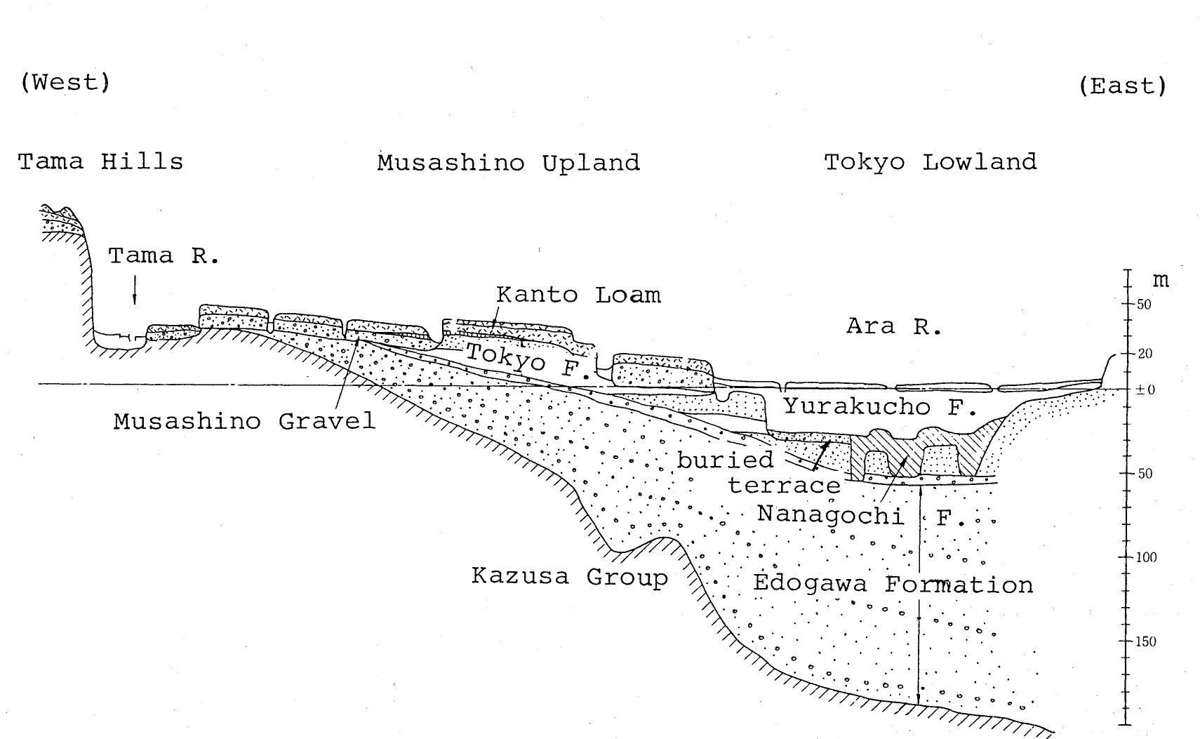 Shows the buried landforms of the tokyo lowland (matsupa,