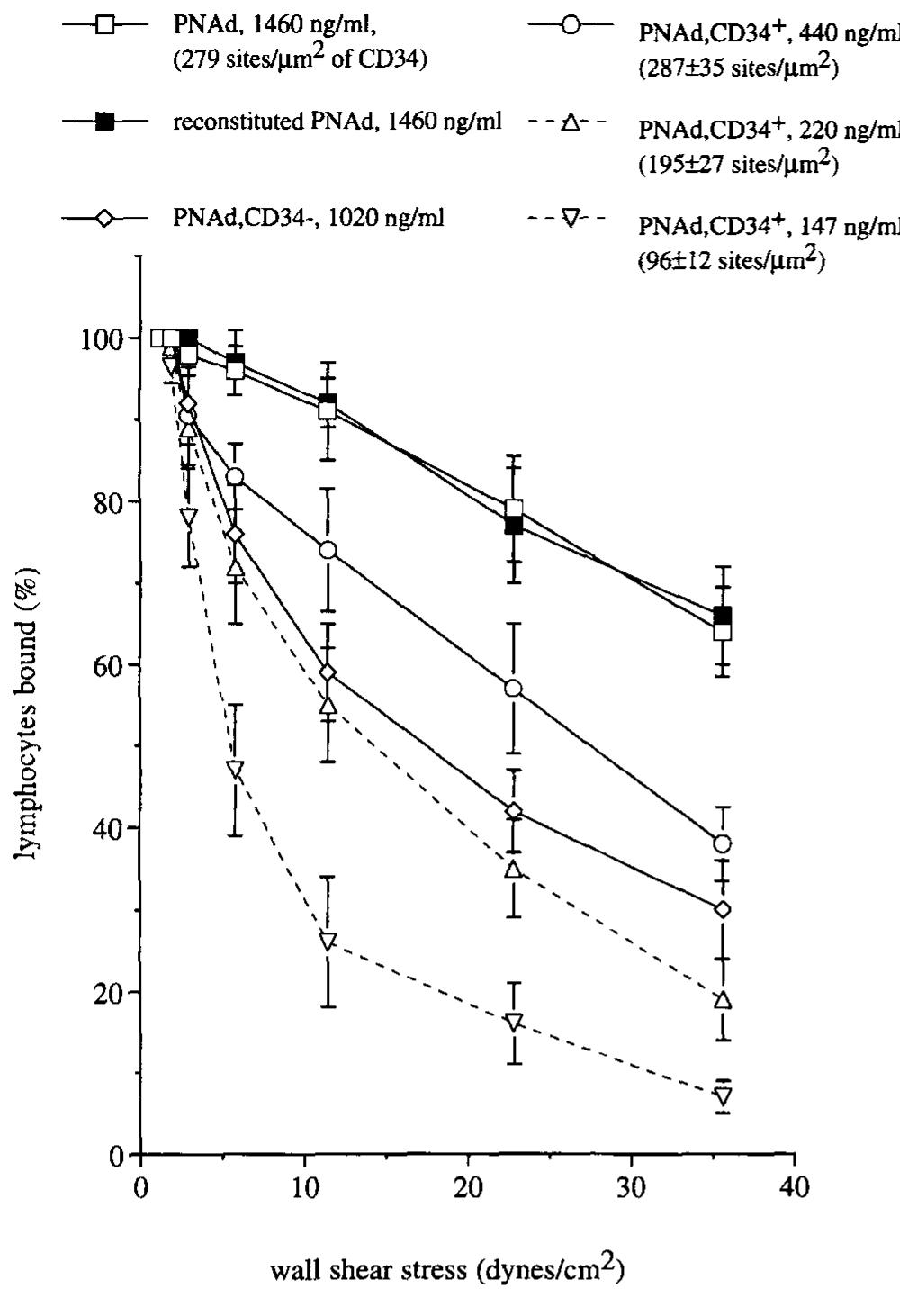 Resistance to detachment by shear of lymphocytes on pnad