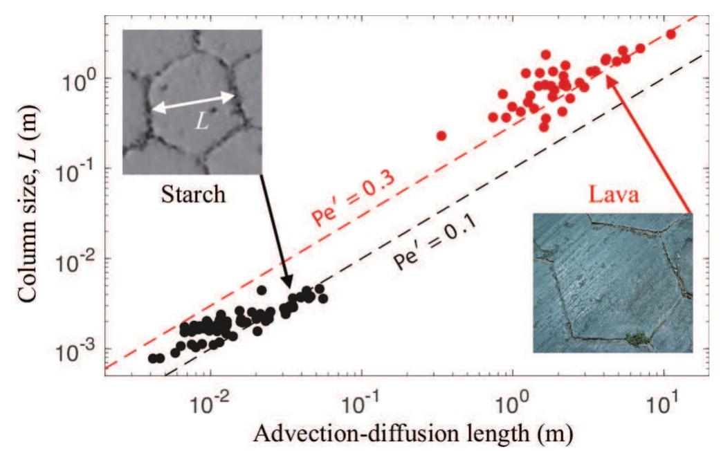The size of columnar joints in starch (black points) and