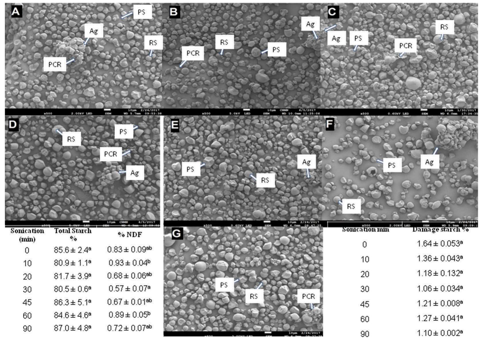Changes on the morphological structure of jicama starch