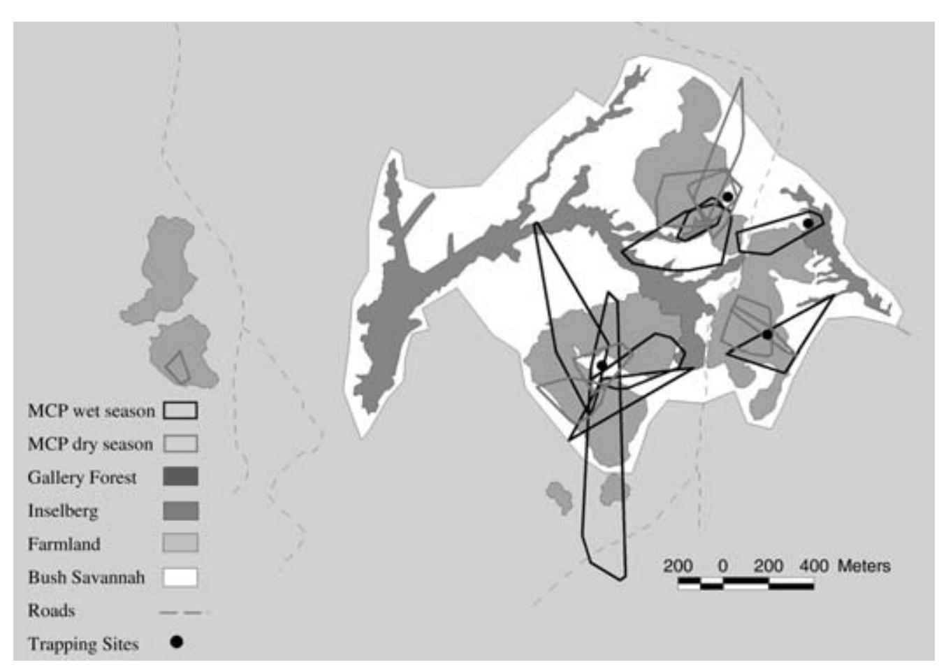 Map of the study area and 100% mcp home ranges of rock