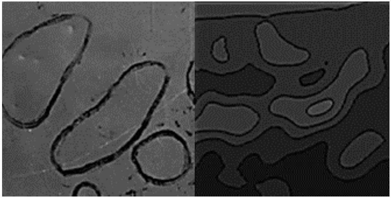 Dent identification comparison; inspection personnel (left)