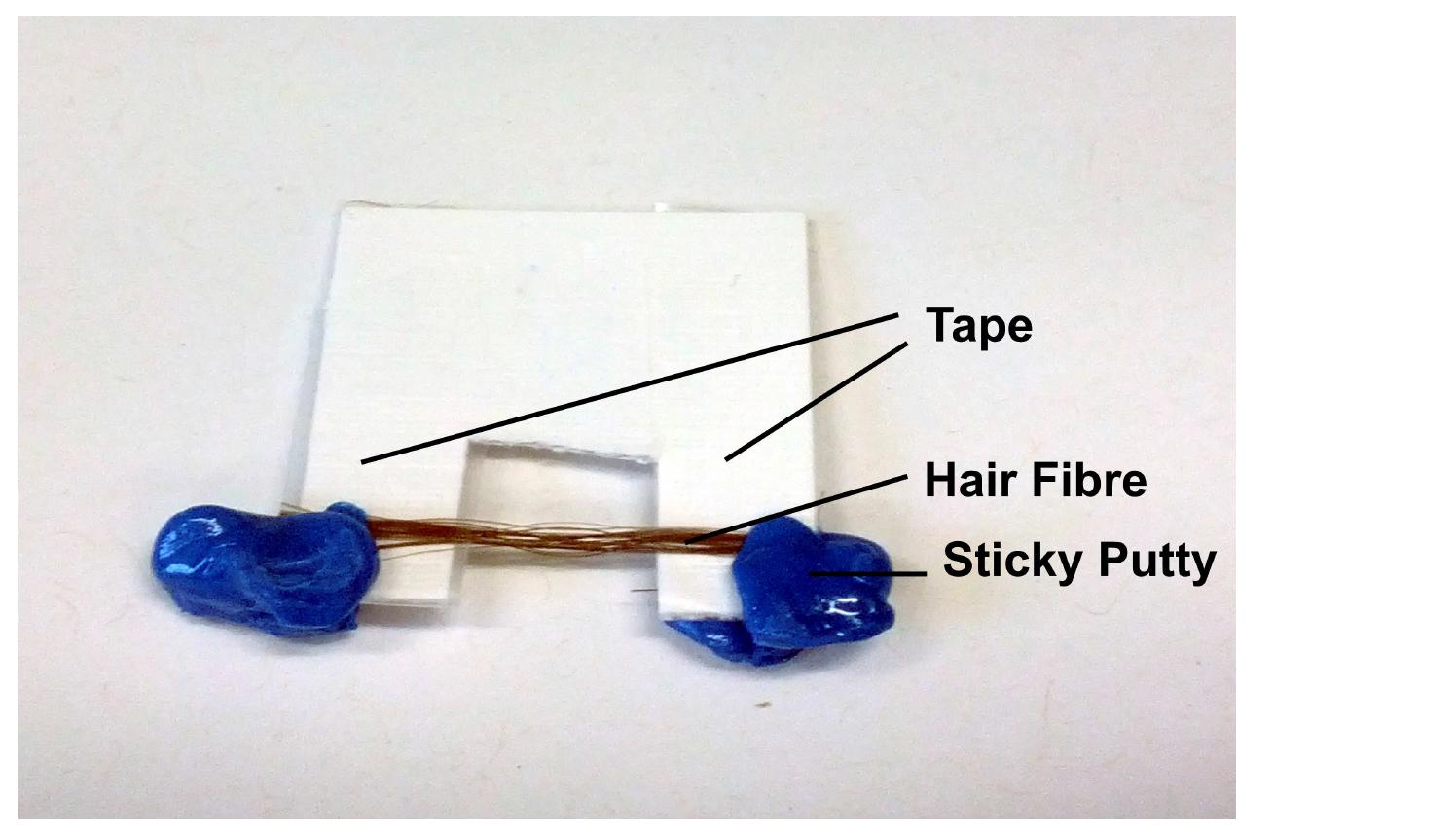 The apparatus used to mount the hair strands in the