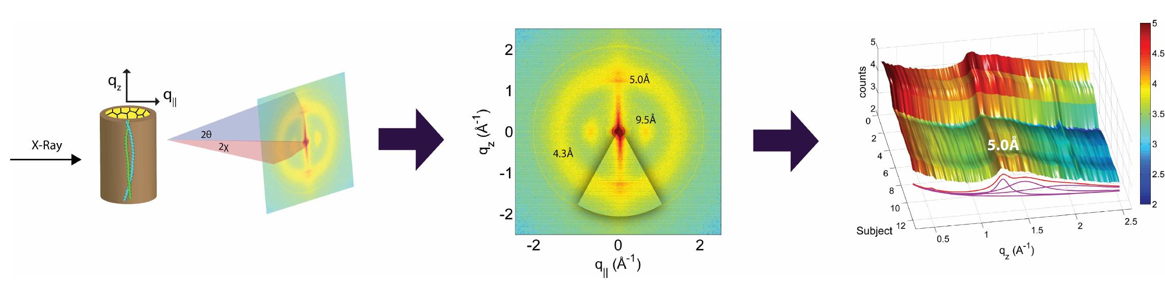 Schematics of the x-ray setup and example x-ray data. the