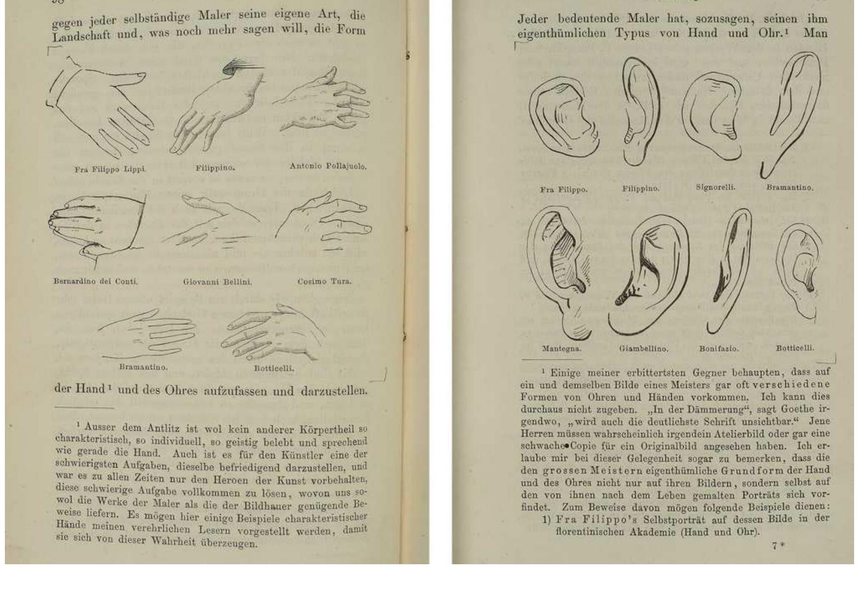 Line drawings showing sketches of ears and hands, from