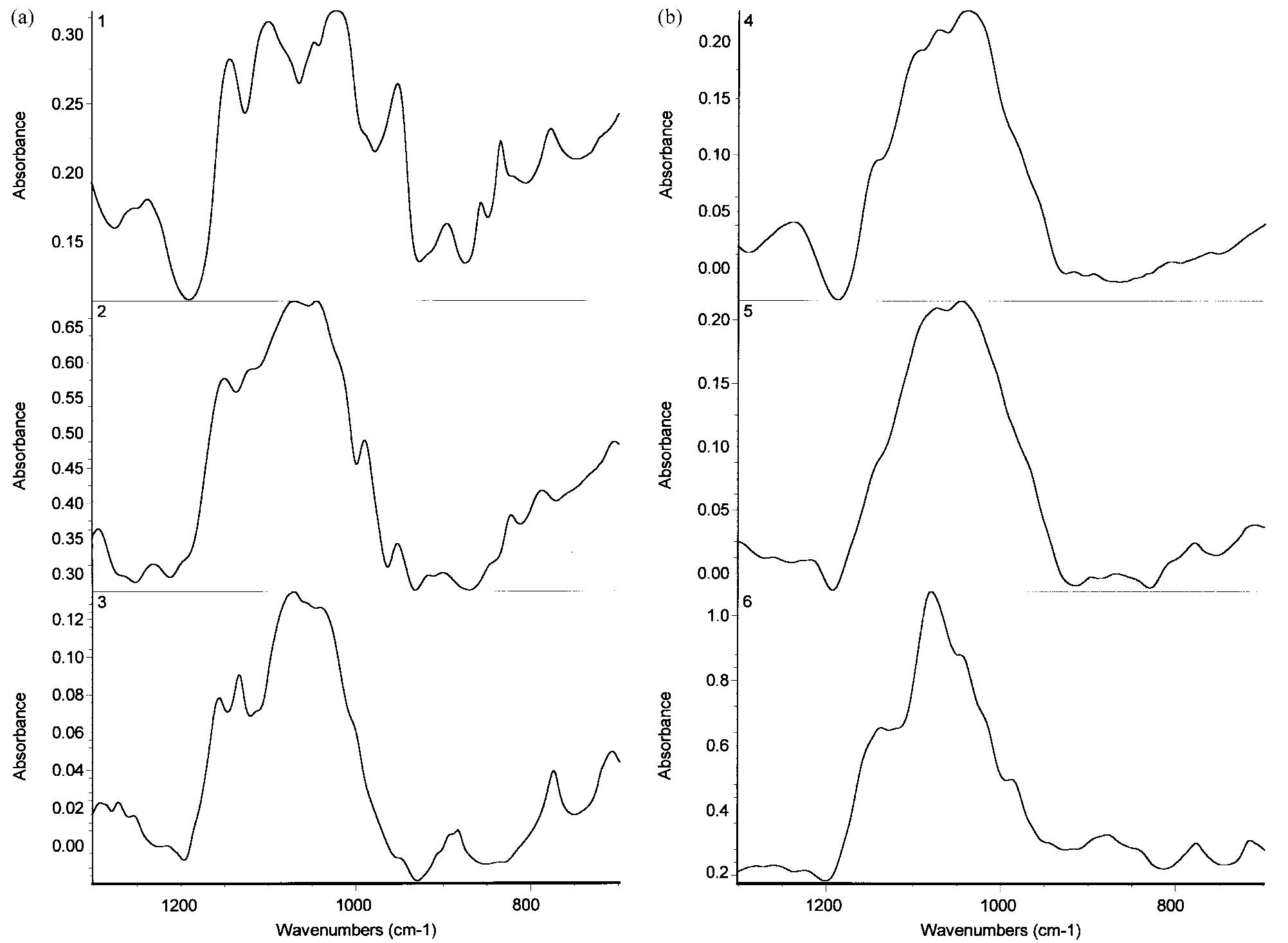 Ft-ir spectra of cell wall polysaccharide models in hydrated