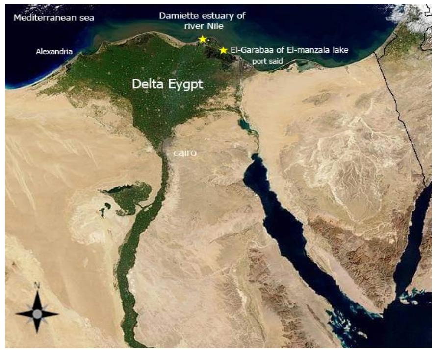 Vlu se 45 ailes the first site: el garabaa at north of el-