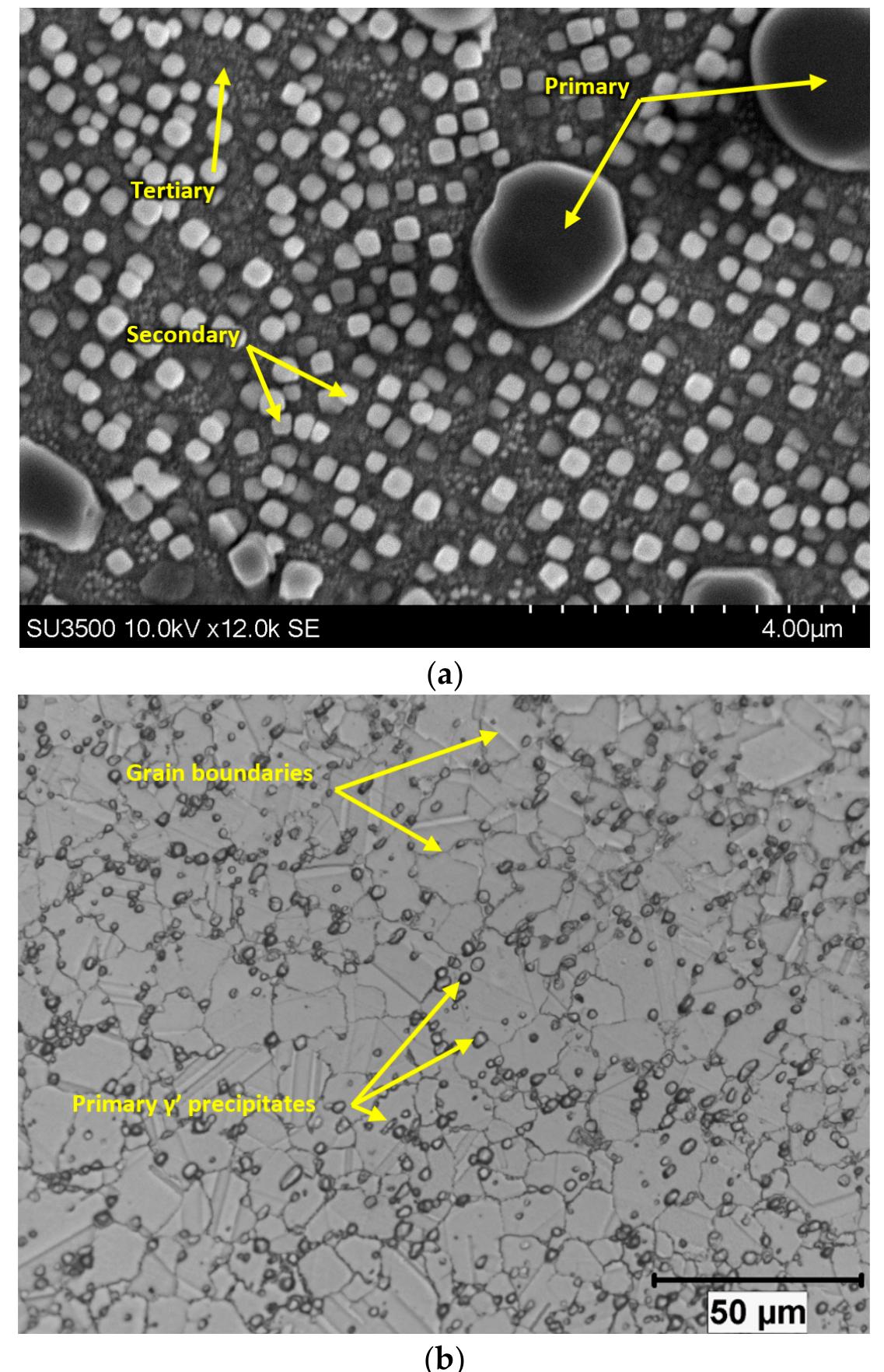 Microstructures of rene 65 (a) scanning electron microscopy
