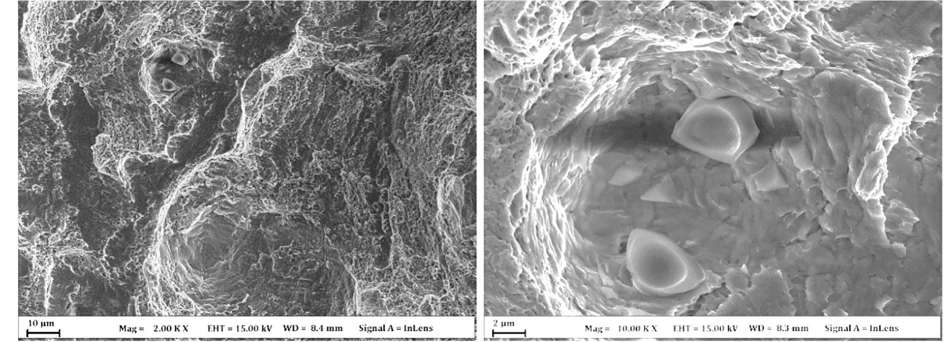 Sem micrographs of the fracture surface of the sample