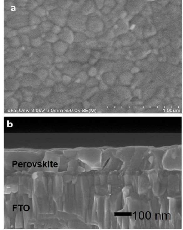 Perovskite film morphology (a) top view and (b)