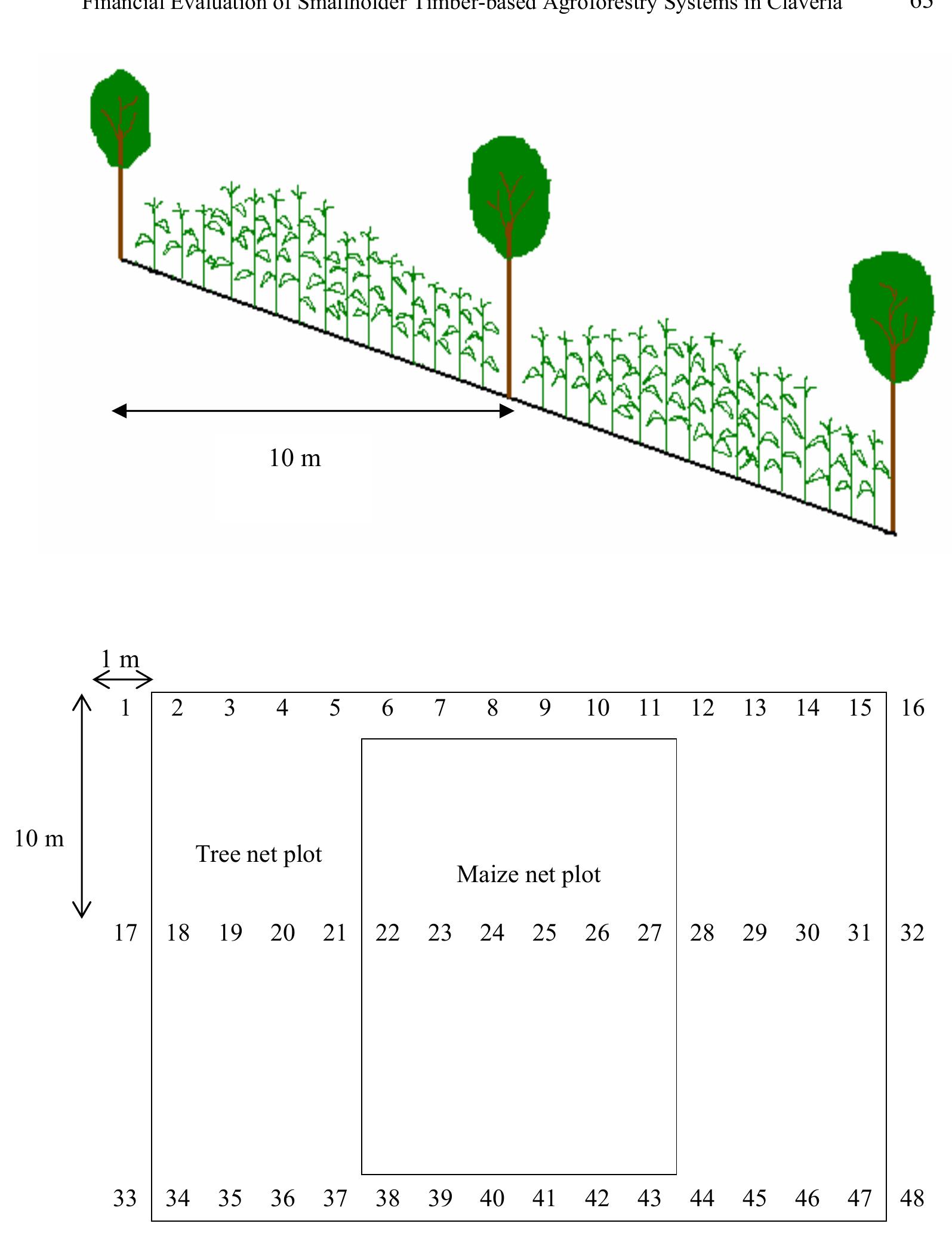 Every cropping season, the hybrid maize variety pioneer 3014