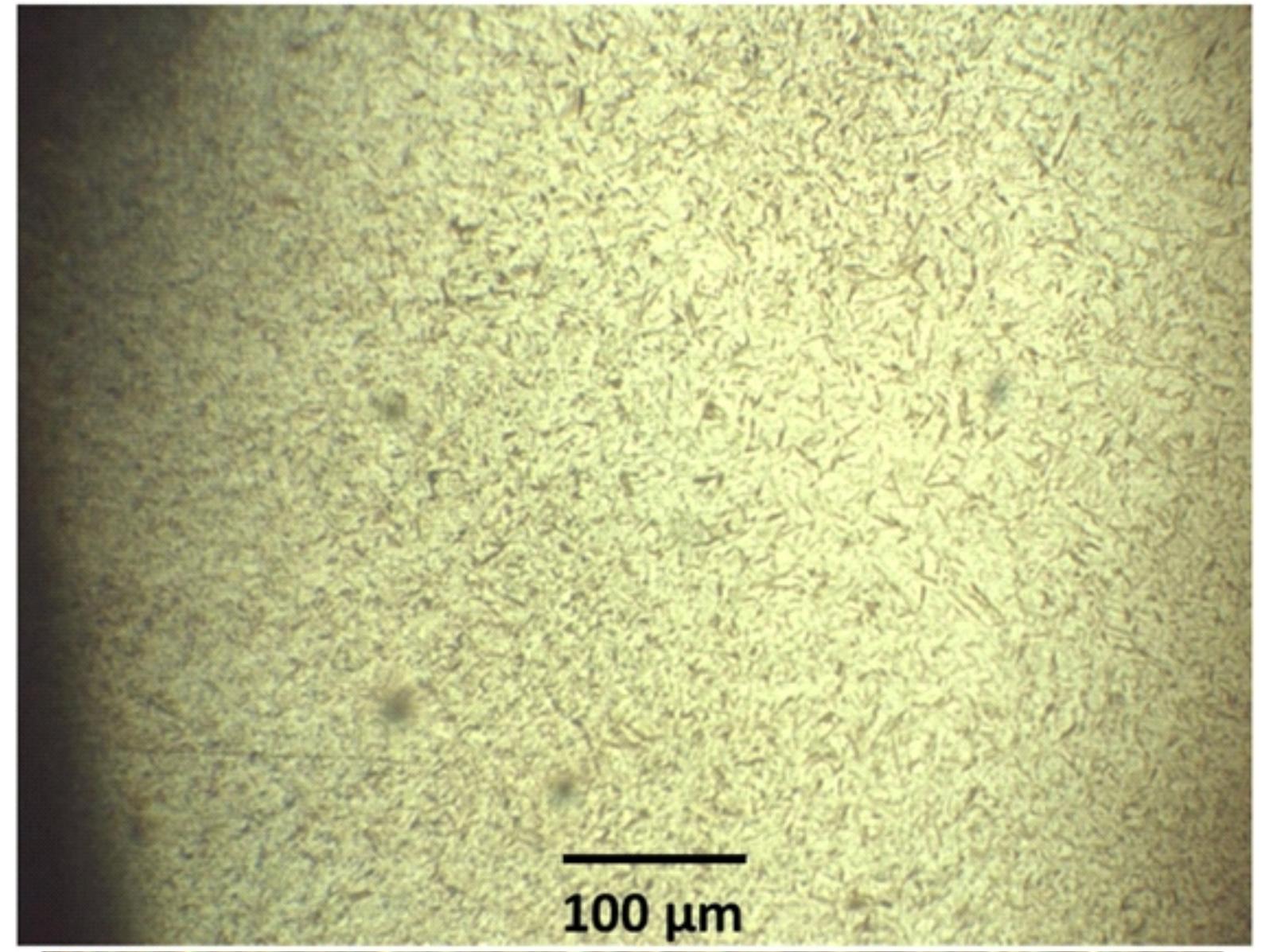 Micrograph showing microstructure across the cross sections