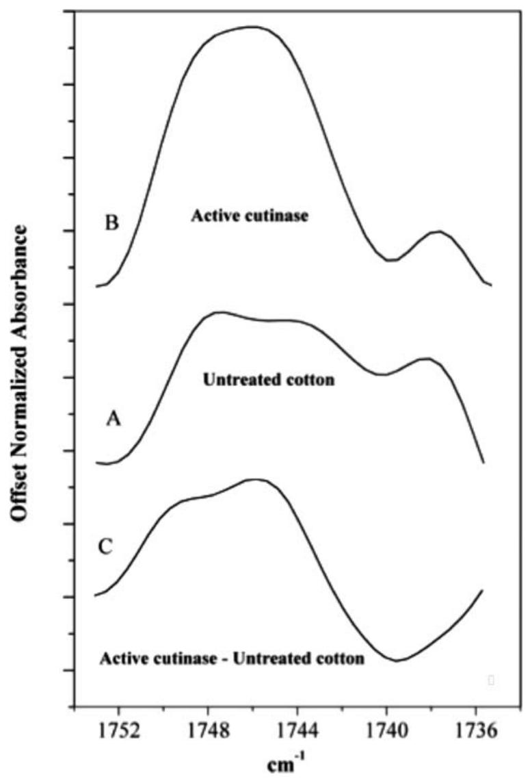 Ftir spectra of the untreated cotton and cotton samples