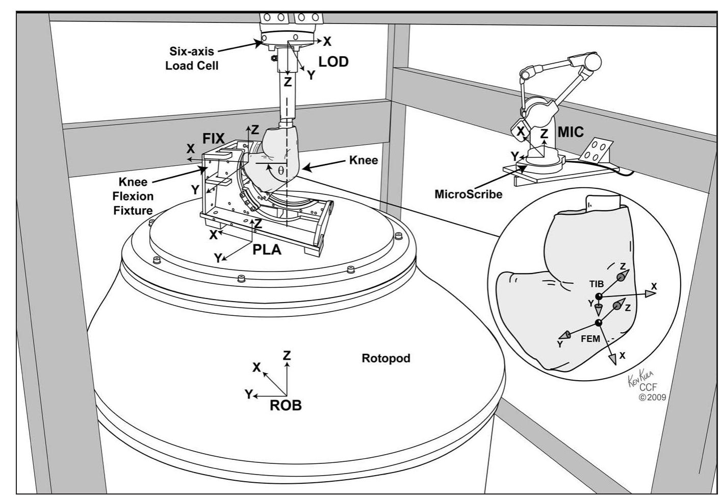 Schematic drawing of the 6-degrees-of-freedom