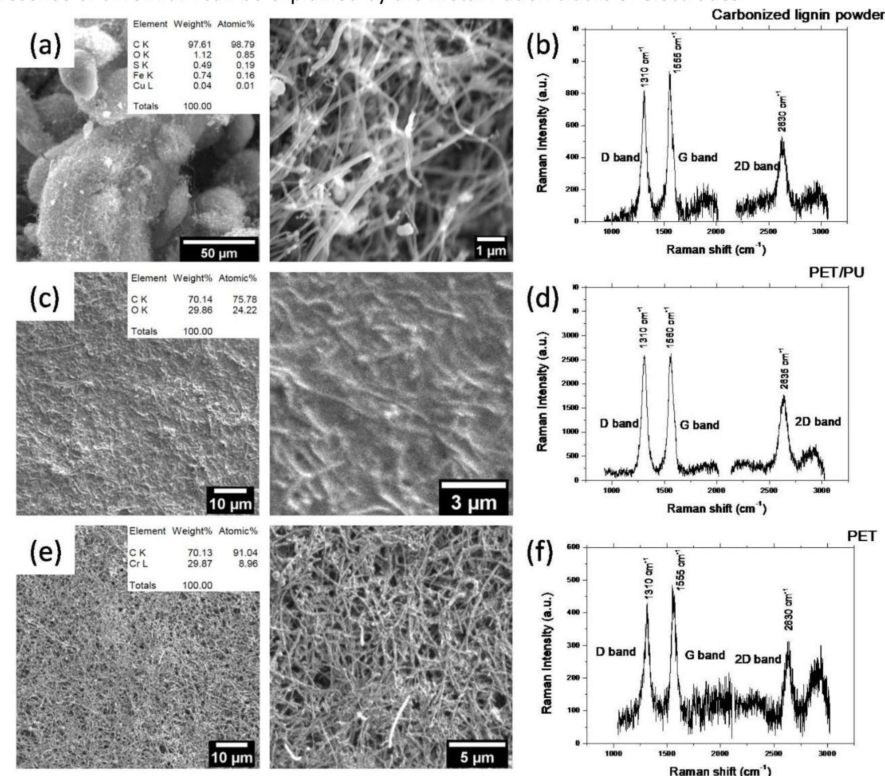 Sem images and raman spectra for (a, b) the carbonized