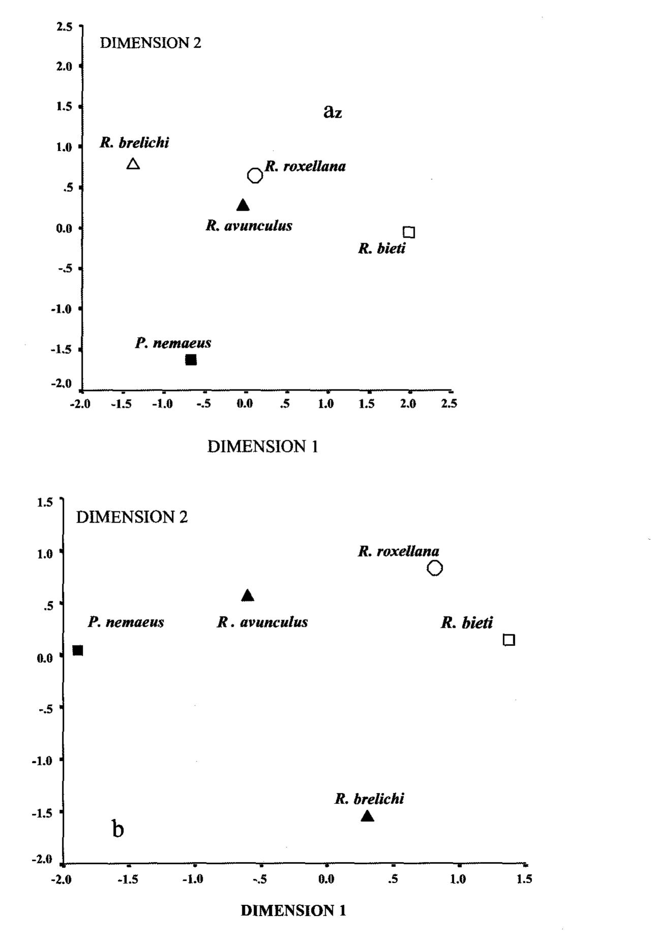 Figure 6 - Cranial morphology of the golden monkey